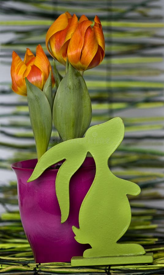 Red Tuilp Flower Frame stock image. Image of vivid, background - 16221333