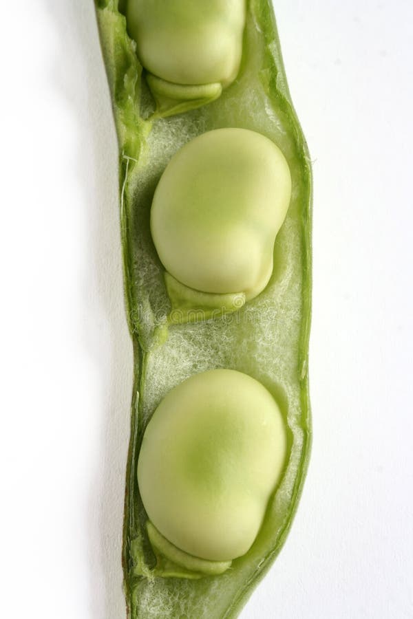 Tuinboon stock foto. Image of geval, gastronomisch, groen - 13802530