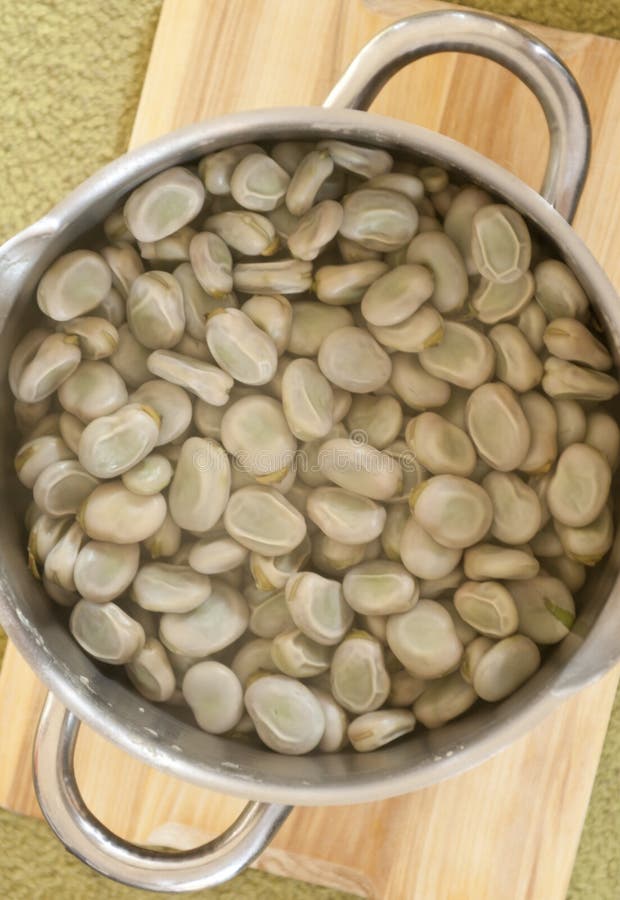 Tuinboon stock foto. Image of boon, gekookt, klok, paard - 20163656