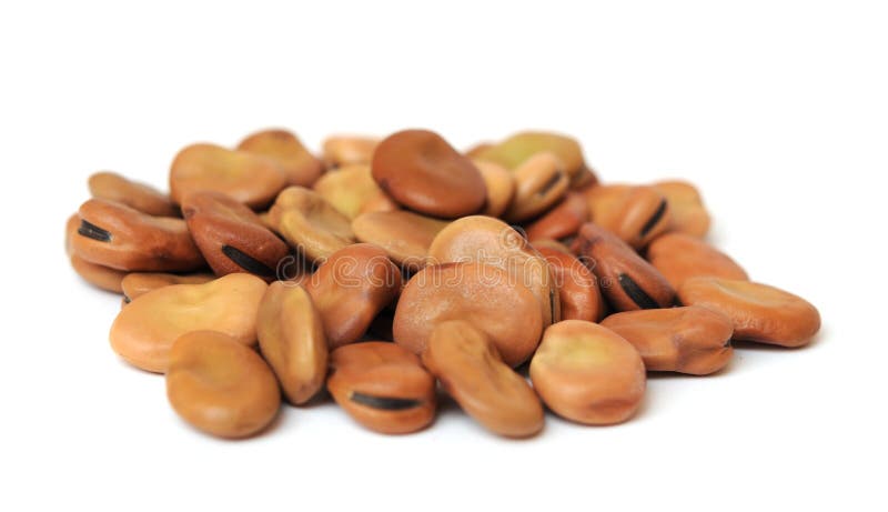 Tuinboon stock foto. Image of patroon, variatie, boon - 31615460