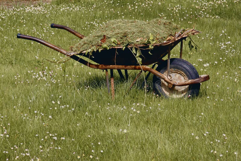 Tuinkar Met Vers Gesneden Groen Gras Groot T Op Het Gazon De Tuinwerken ...