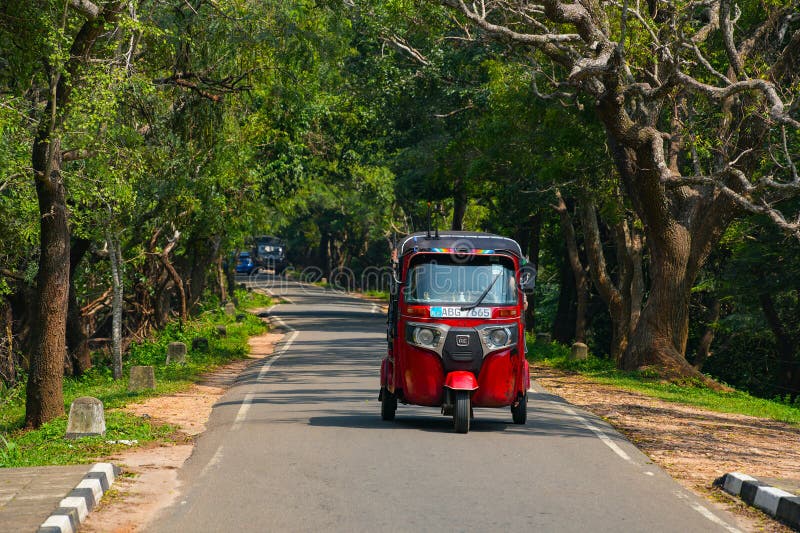 5,918 Indian Sri Lankan Lesbians Stock Photos - Free & Royalty-Free ...