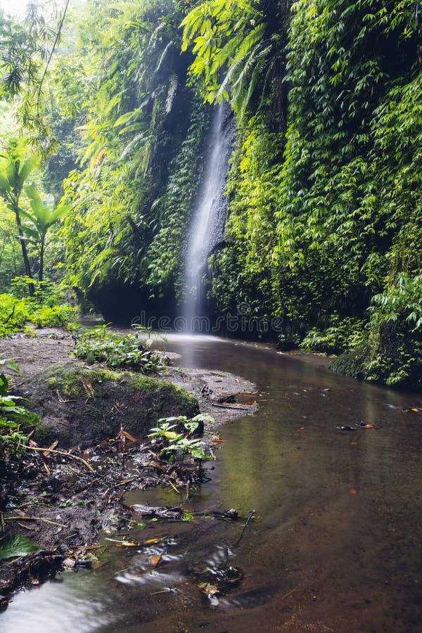Beautiful Tukad Cepung Waterfall Bali Stock Photos - Free & Royalty ...