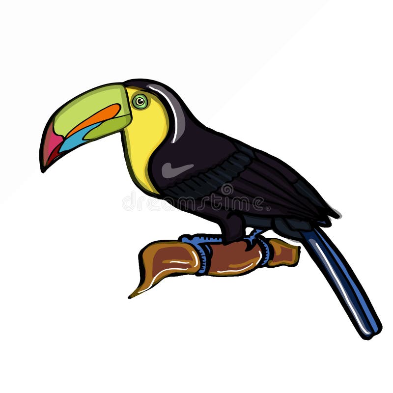 Tukan bird symbol stock vector. Illustration of handdrawn - 121290021