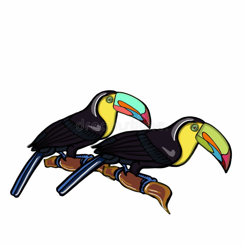 Tukan Birds Stock Illustrations – 90 Tukan Birds Stock Illustrations ...