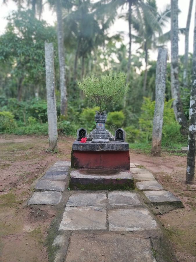 Tulasi Katte All God in this Tulasi Katte and Spirtuality of God Stock ...