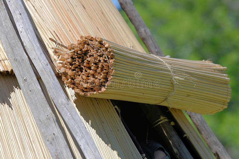 Tule-mat Teepee Door Cover Rolled Up Stock Image - Image of american ...