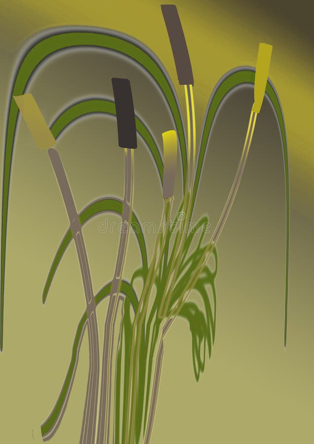 Tules stock illustration. Illustration of leaf, landscape - 9183156