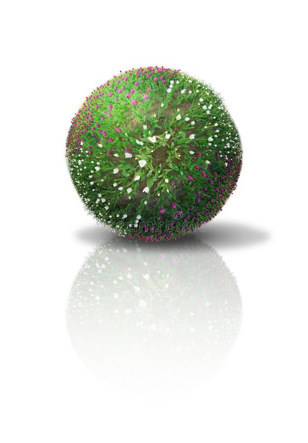 Tulip ball stock photo. Image of style, sphere, bizarre - 18247252