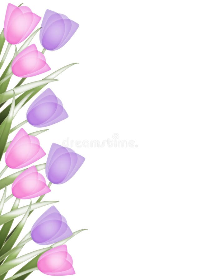 Tulips Border Design