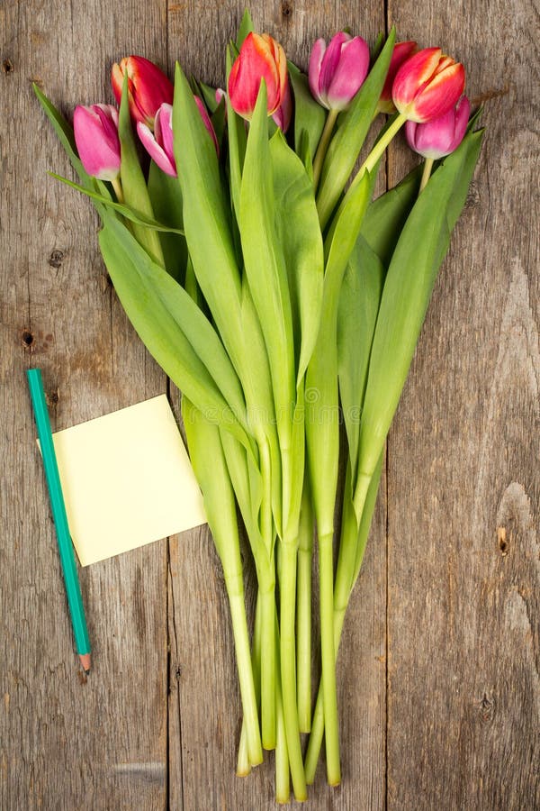 Tulip Bouquet and Blank Sticky Note Stock Photo - Image of bucket ...