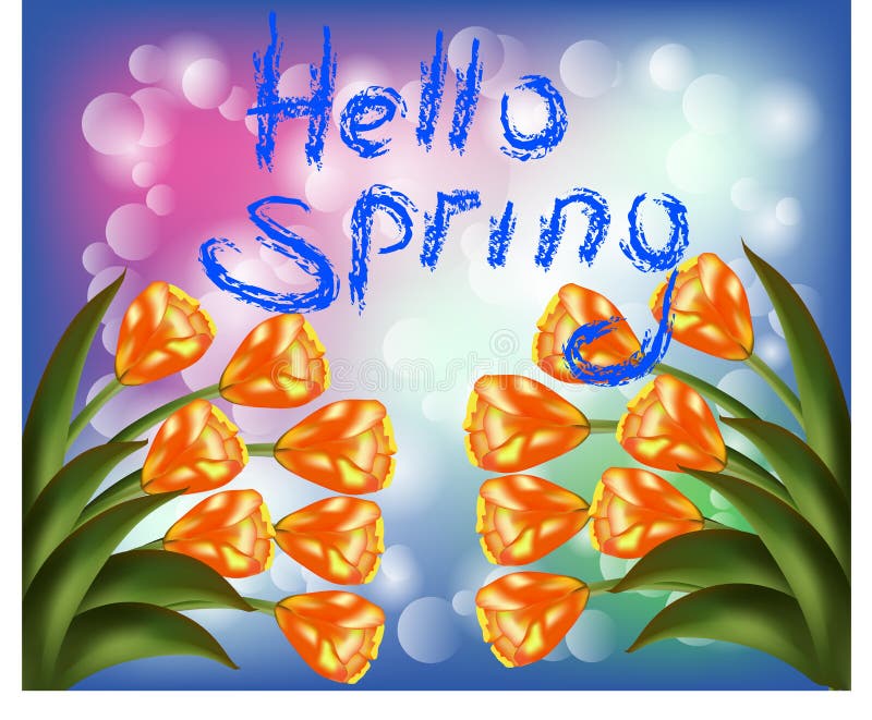 Tulip Bouquet Over White Background with Custom Text Hello Spring Stock ...