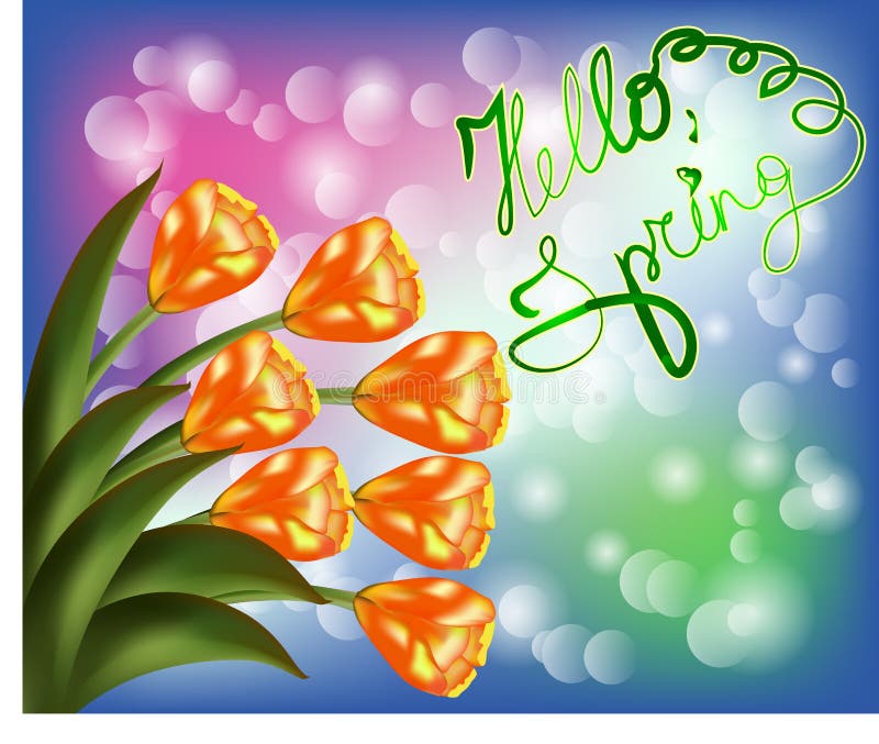 Tulip Bouquet Over White Background with Custom Text Hello Spring Stock ...