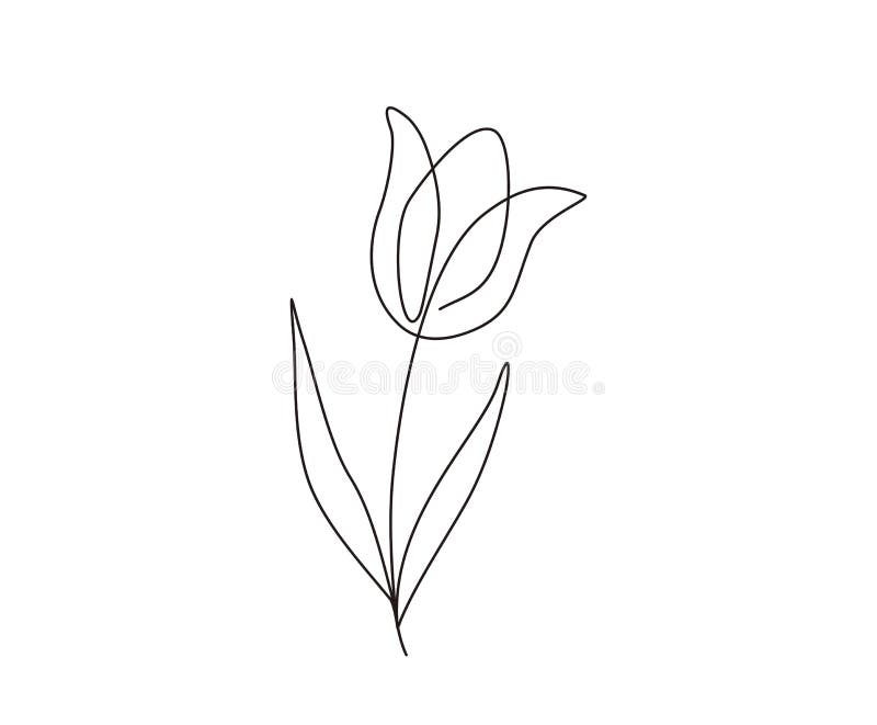 Minimalist Contour Flower Drawing. One Line Art Stock Illustration ...