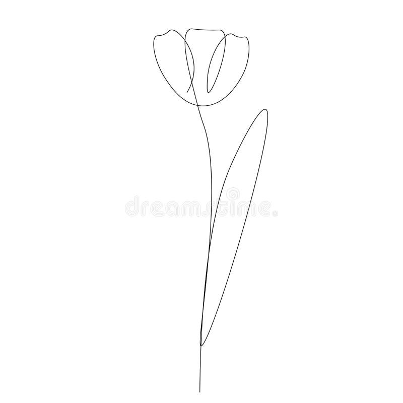 Tulip Continuous Line Drawing. Vector Stock Vector - Illustration of ...