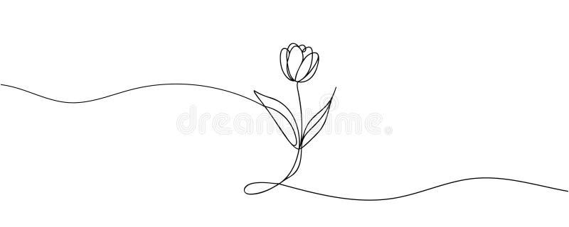 The Tulip is Drawn in One Continuous Line. Stock Vector - Illustration ...