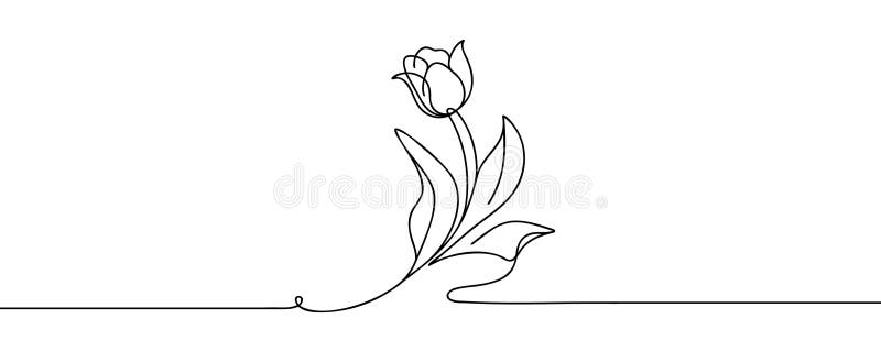The Tulip is Drawn in One Continuous Line. Stock Illustration ...