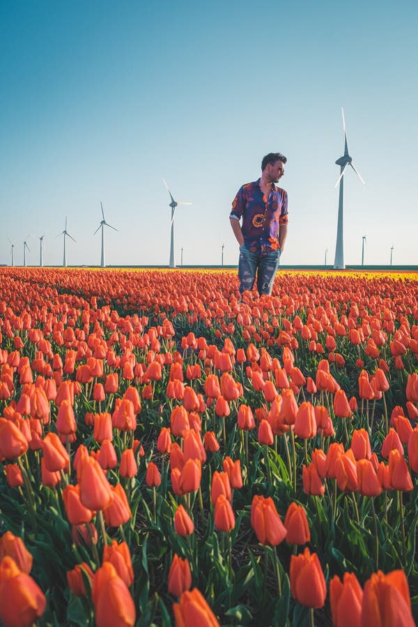 Tulip Fields in the Netherlands, Men in Flower Field during Spring in ...