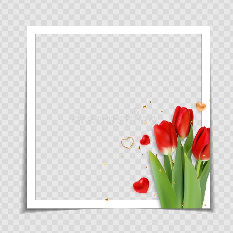 Tulip Flower Background Photo Frame Template for Post in Social Network ...