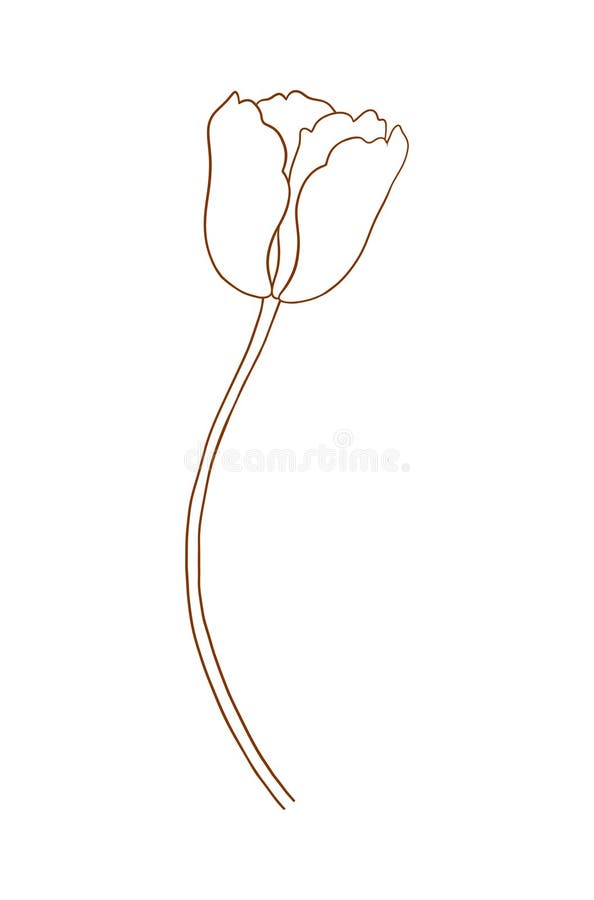 Tulip Flower in Brown Outline, Minimal Vector Illustration for Design ...
