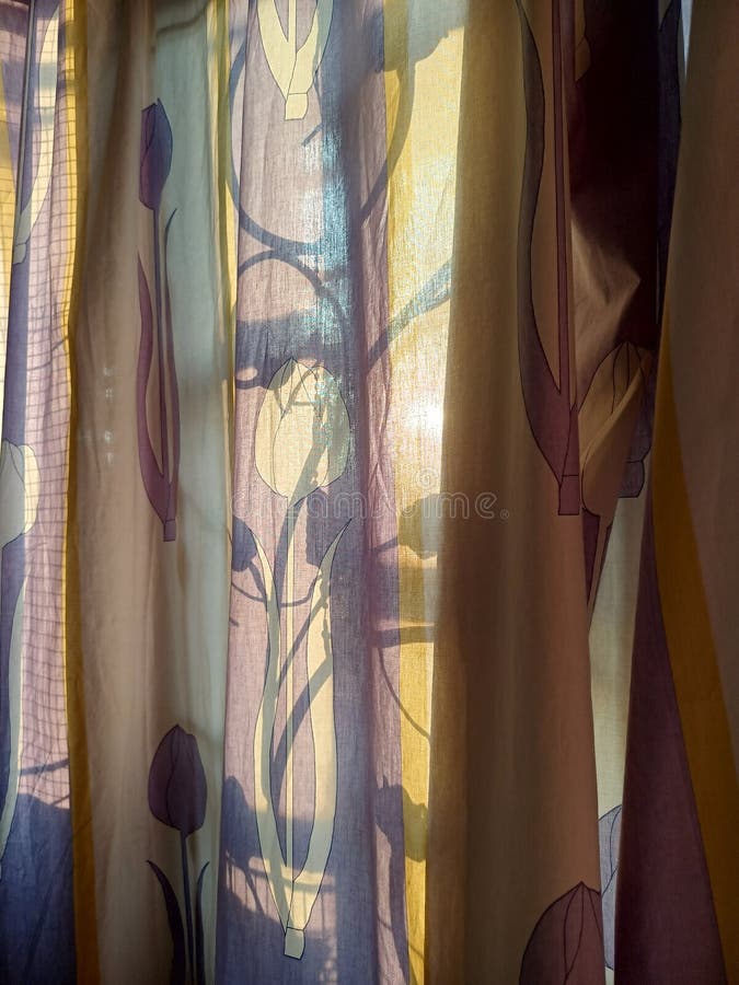Tulip Flower Curtains Berwarna Ungu Stock Photo - Image of berwarna ...