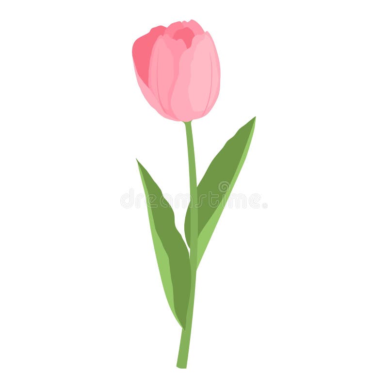 Tulip Flower Icon, Cartoon Style Stock Illustration - Illustration of ...