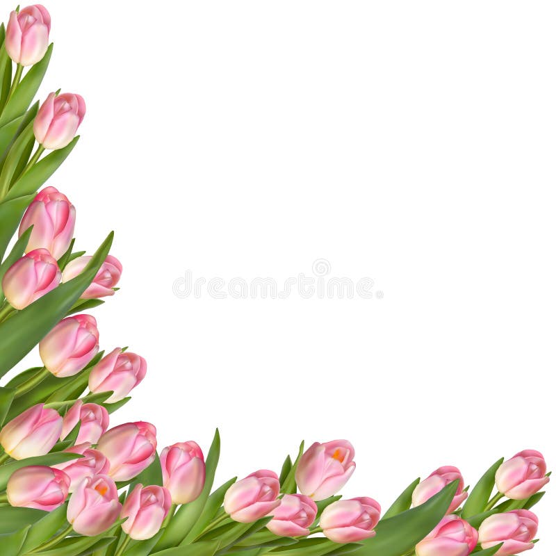 Tulips Flower Border Design