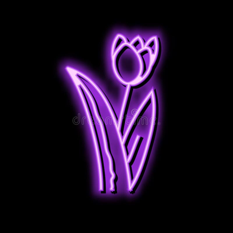 Tulip Flower Spring Neon Glow Icon Illustration Stock Vector ...