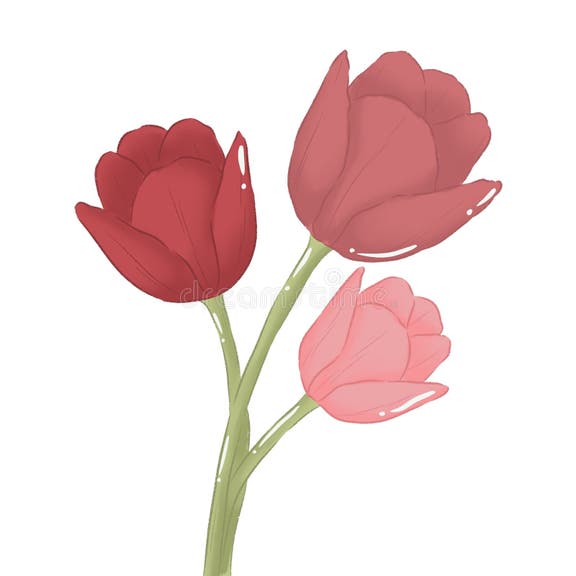 Tulip Elegance: a Guide To the Timeless Flower Stock Image ...