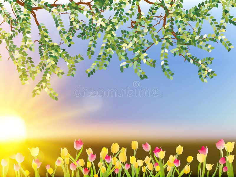 Tulip Row Stock Illustrations – 2,102 Tulip Row Stock Illustrations ...