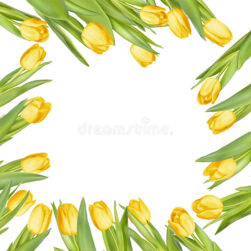 Tulip Frame Stock Illustrations – 25,897 Tulip Frame Stock ...