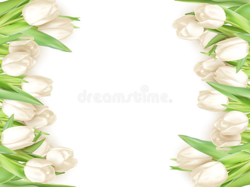 Tulip frame. EPS 10 stock vector. Illustration of framework - 68560264
