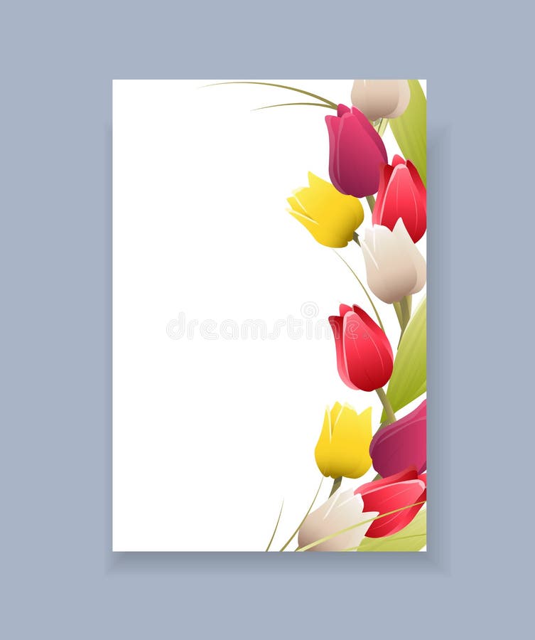 Tulip frame. stock vector. Illustration of abstract, frames - 96242146