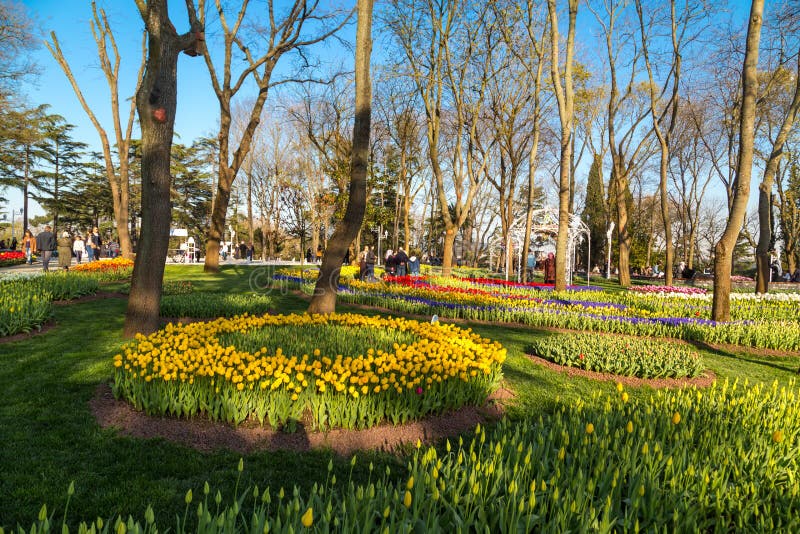 Tulip Gardens in Emirgan Parc Redactionele Stock Foto - Image of open ...