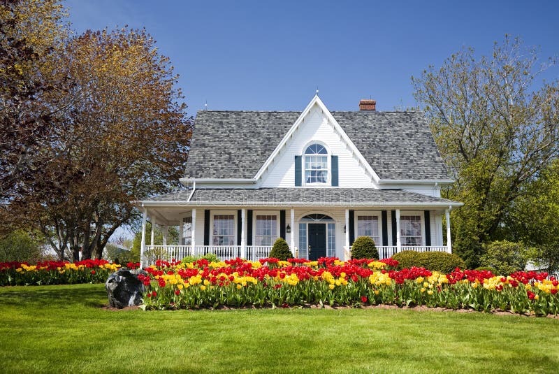 Tulip House stock image. Image of house, tree, home, yard - 16675079
