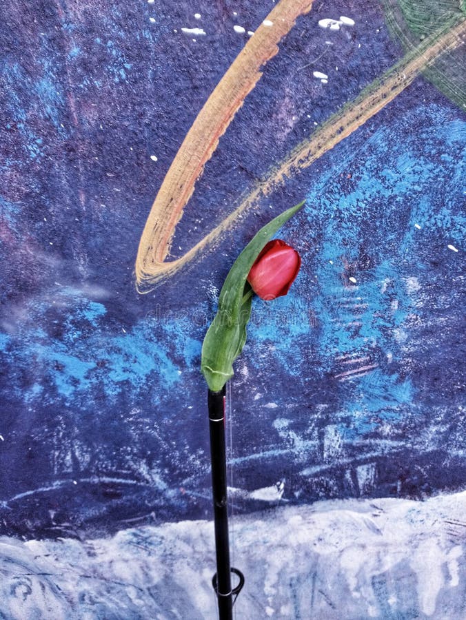 368 Flower Bus Stop Stock Photos - Free & Royalty-Free Stock Photos ...