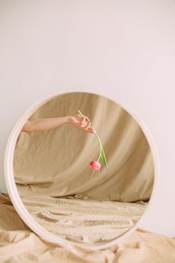 Tulip Pink Reflection Round Mirror Romantic Holiday Stock Image - Image ...