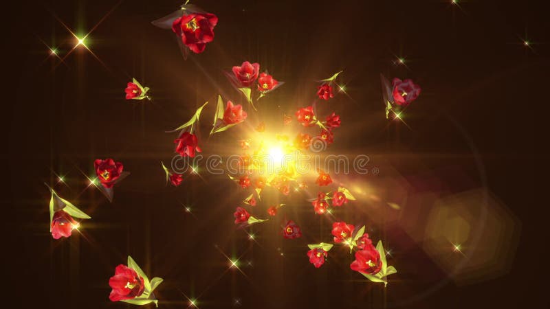 Rose Flower Particle Loop Animation Stock Video - Video of tender ...