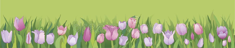 Tulip Row Stock Illustrations – 605 Tulip Row Stock Illustrations ...