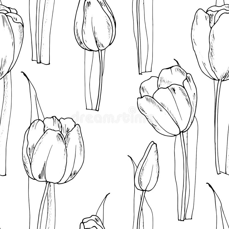 474 Tulip, Wallpaper and Fabric Ornament, Wrapping Paper, Background ...