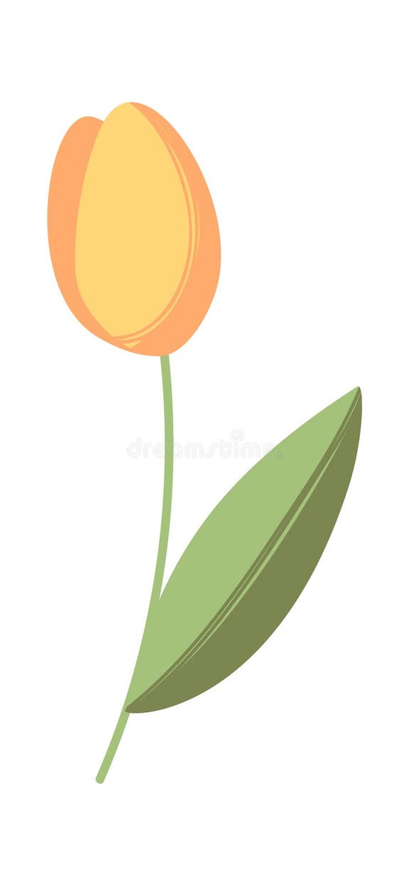 Tulip Spring Flower Stem Bloom Stock Vector - Illustration of birthday ...