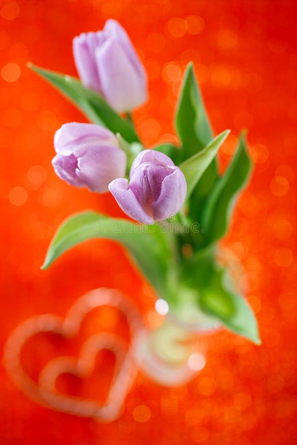 Tulip Spring Flowers in Red Sparkle Background Stock Photo - Image of ...