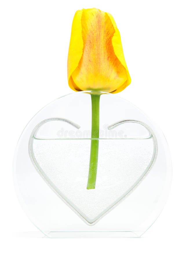 Knight stock photo. Image of iron, soldier, armour, protection - 7672080