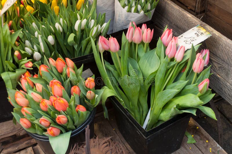 Tulipanes Coloridos En Una Tienda Foto de archivo - Imagen de calle ...