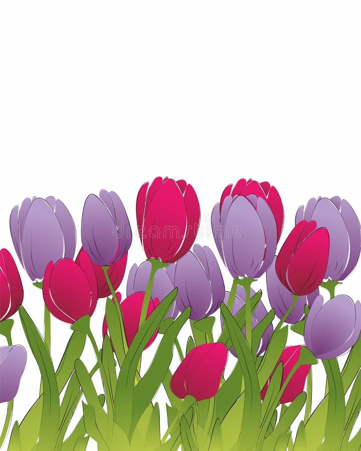 Tulip Row Stock Illustrations – 737 Tulip Row Stock Illustrations ...