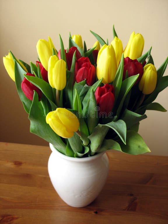 Tulips 4 stock image. Image of vase, birthday, spring - 2441353