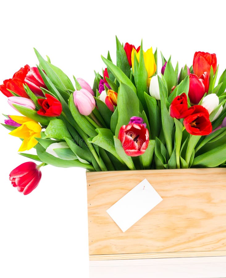 Tulips in the box stock photo. Image of celebrate, botanical - 94117552