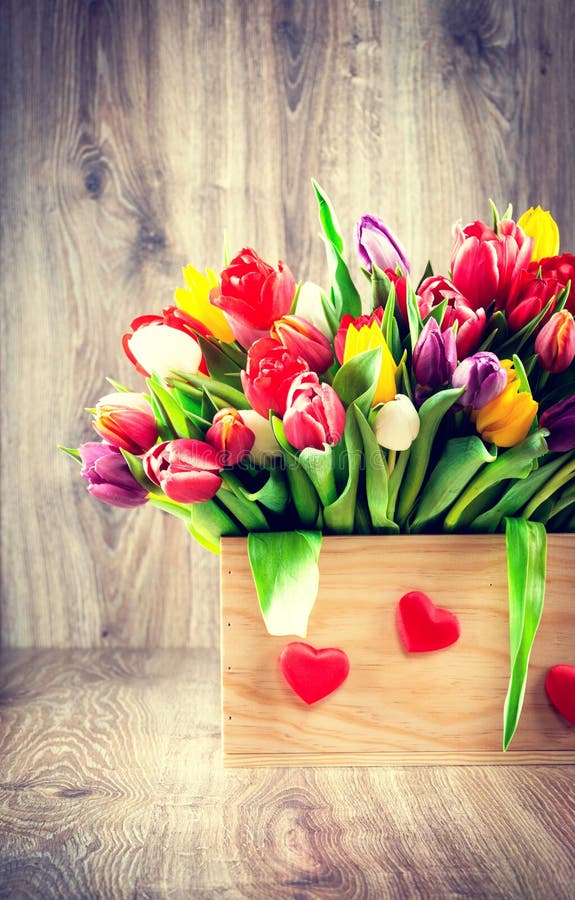 Tulips in the box stock image. Image of nature, easter - 91701219