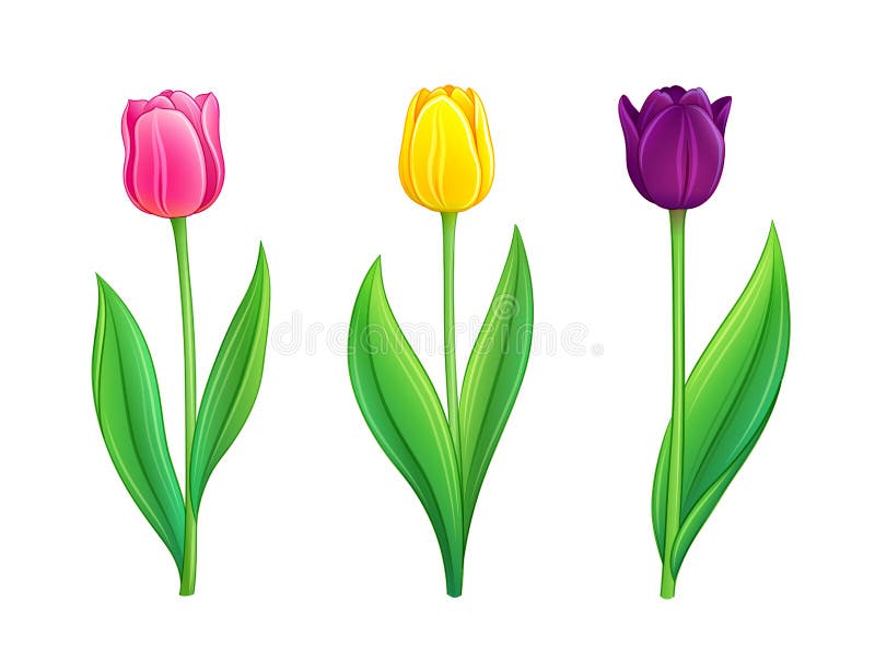 Vector Set with Outline Tulips Flowers Isolated on White. Tulip Flower ...