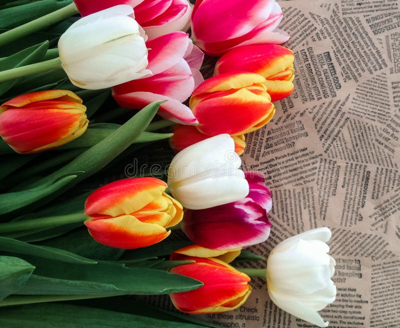 Tulips Flowers Bunch on Vintage Newspaper Background Stock Image ...